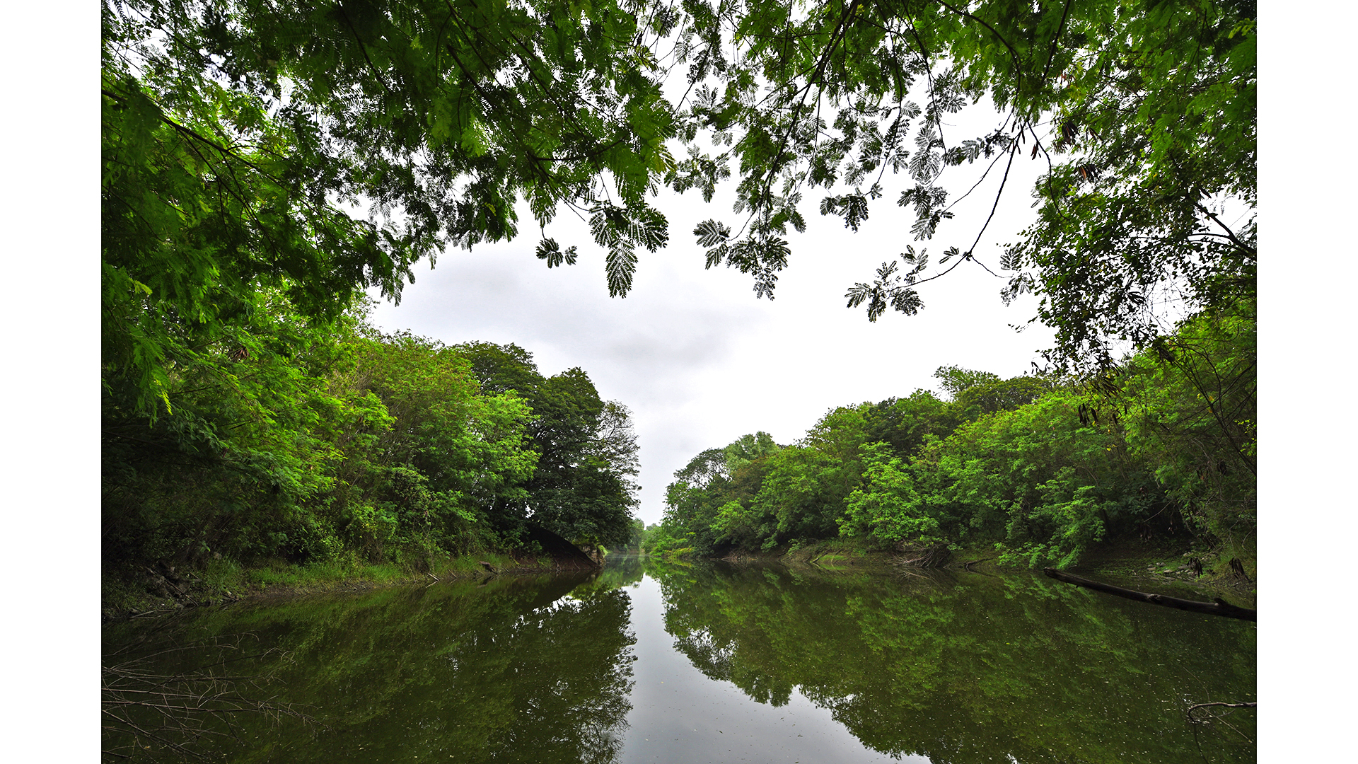 ECOLOGICAL RESTORATION OF BASALT QUARRY - A SOCIAL DESIGN LIBRARY