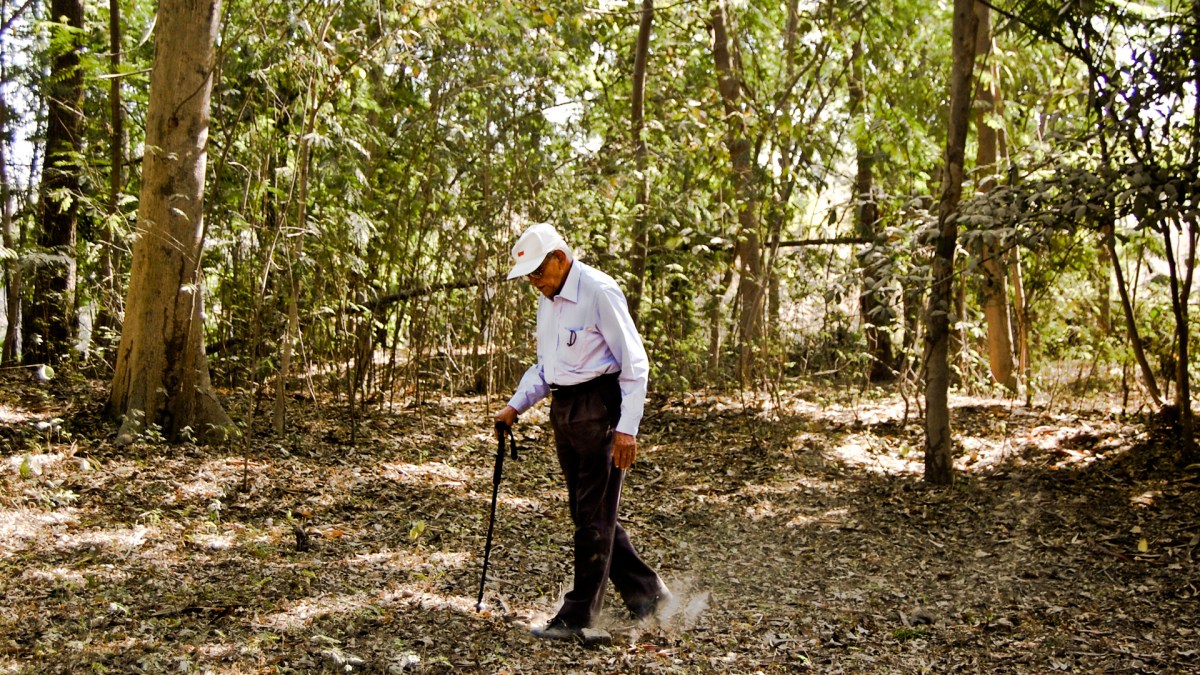 ECOLOGICAL RESTORATION OF BASALT QUARRY - A SOCIAL DESIGN LIBRARY