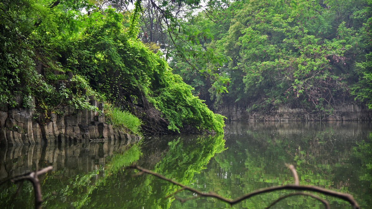 ECOLOGICAL RESTORATION OF BASALT QUARRY - A SOCIAL DESIGN LIBRARY